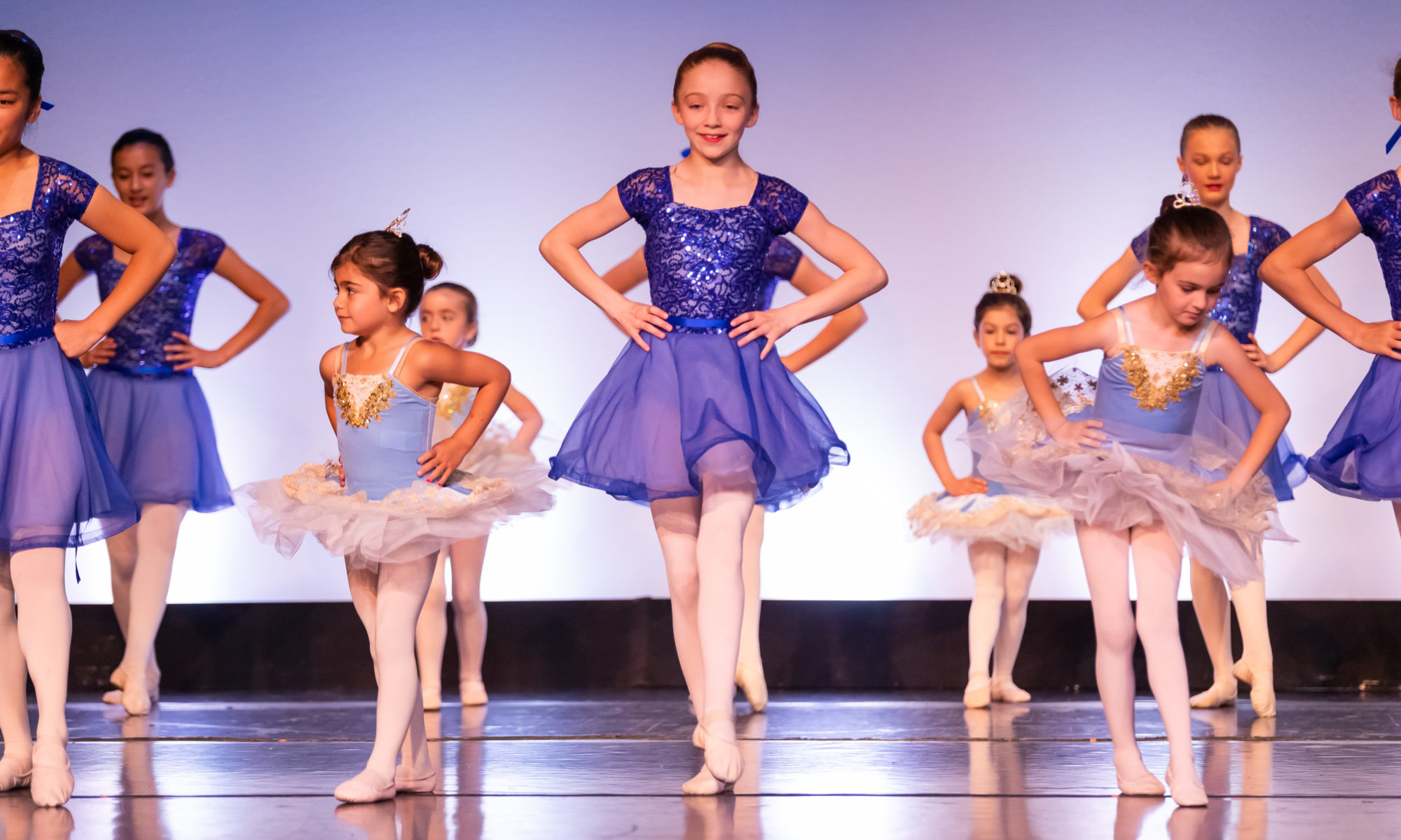 Other Services – Wayne Ballet