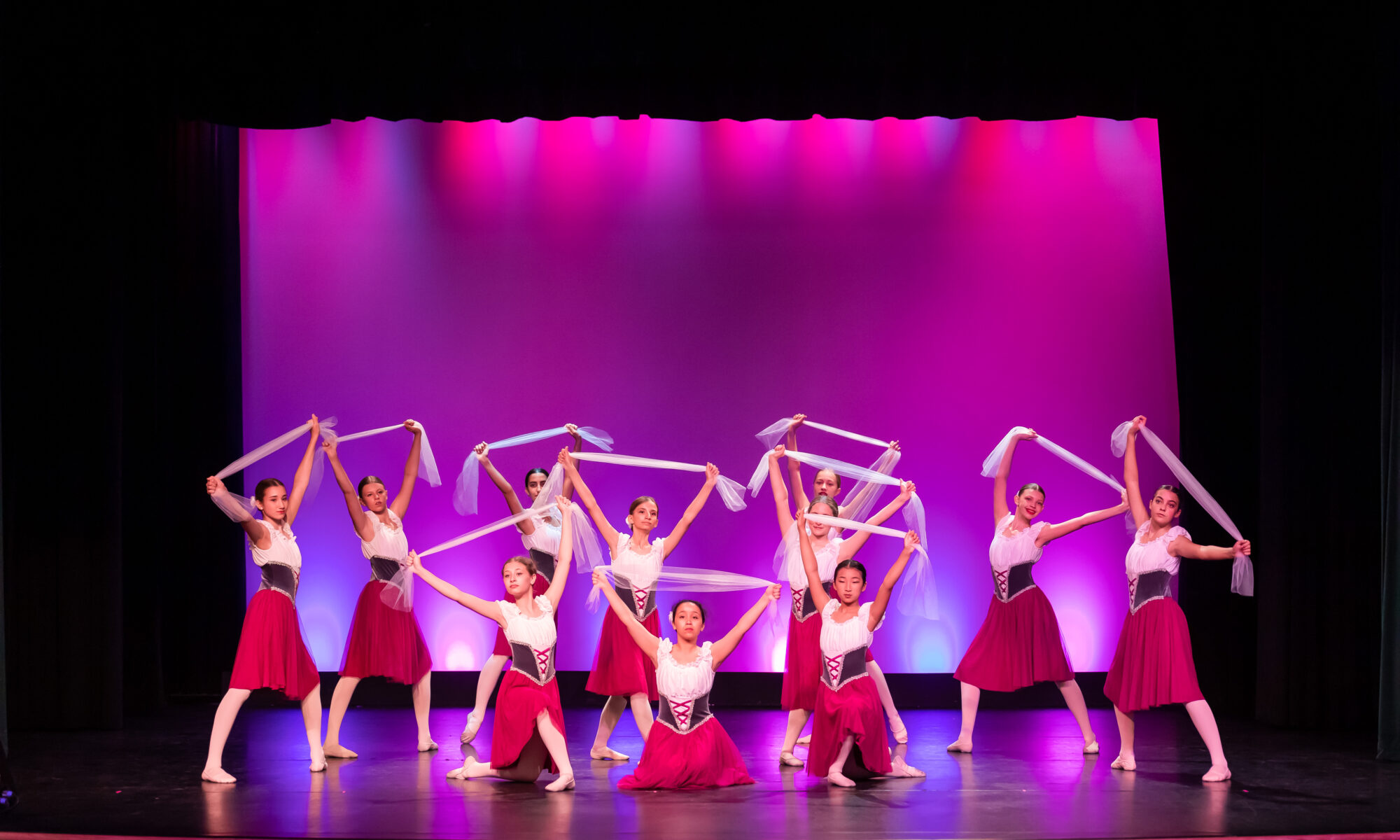 Other Services – Wayne Ballet